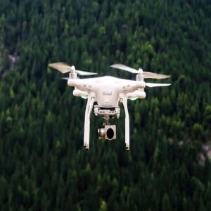 Uttar Pradesh: Drone-based technology boosts sugarcane yield while ...