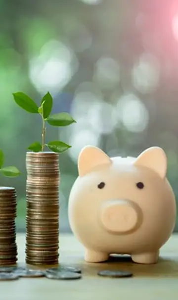Top Dividend-Paying Stocks for Passive Income in 2026 | Dailyhunt