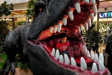 'Crowds like Durga Puja': Dino World rush at South City Mall leads to ...