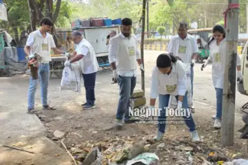 Green Vigil Foundation Joins Hands with NMC for Environment ...