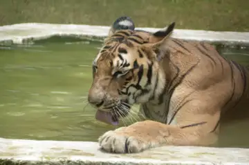 News in Pics | June 2, 2026: Best Photos from around the world | Dailyhunt