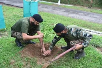 Tripura: Indian Army marks World Environment Day with mass tree ...
