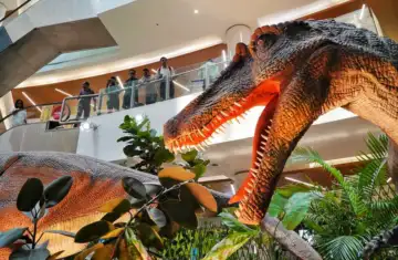 In pictures: South City Mall sends shoppers back to the Jurassic era ...