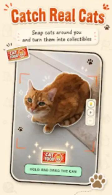 What is CatchCat? New viral game lets you collect real-life cats like ...