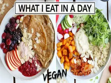 Vegan Diet: Avoiding everything from milk and cheese to meat, what do ...