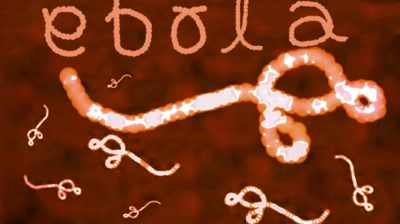 Ebola Outbreak: Over 1,100 Suspected Cases In Congo And Uganda, Says ...
