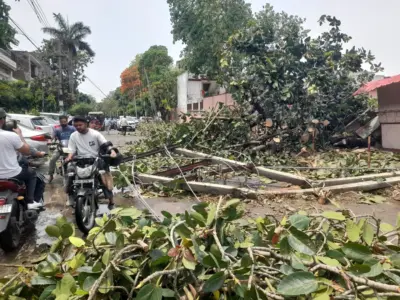 24 hours after hailstorm, Mohali's Phase 2 residents remain without ...