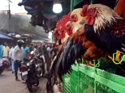 Varanasi Municipal Corporation moves to relocate meat, fish markets in ...