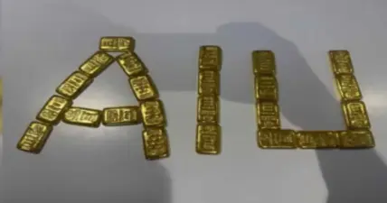 Customs Seizes Rs 4.26 Crore Gold Hidden in Aircraft Lavatory Speaker ...