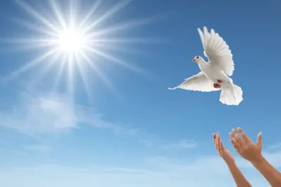 There's more to peace than absence of war | Dailyhunt