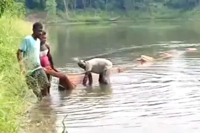 রুই-কাতলার বদলে জালে উঠল থরে থরে আগ্নেয়াস্ত্র! হাবড়ায় অস্ত্র উদ্ধার ...
