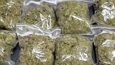 EAGLE seizes 500 kg ganja after hot pursuit in Odisha | Dailyhunt