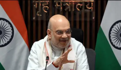 'Visit Border Districts,' Amit Shah Tells Committee Looking at ...