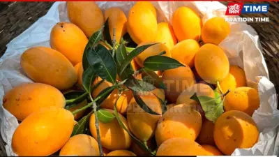 After Japan, Nepal Bans Indian Mango Imports Over Pesticide Concerns ...