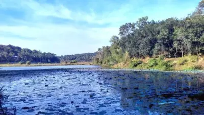10 rivers in Kerala face severe pollution; Oxygen levels drop sharply ...