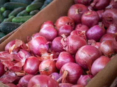 Govt hikes onion procurement rate to Rs 16.5 per kg | Dailyhunt