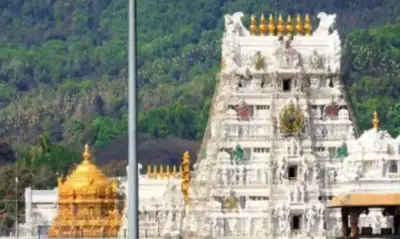 Rush Peaks at Tirumala as Darshan Wait Time Hits 24 Hours | Dailyhunt