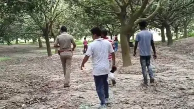 "বল ভেবে হাত দিতেই বিস্ফোরণ!"-মালদার বাগানে বোমা উদ্ধার ঘিরে তীব্র ...