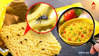 Maggi Controversy : ম্যাগির প্যাকেটে পোকা? সোশ্যাল মিডিয়ায় ঝড় ! মুখ ...