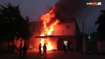7 Labourers Suffer Burn Injuries In Accident At Khyber Cement Plant ...