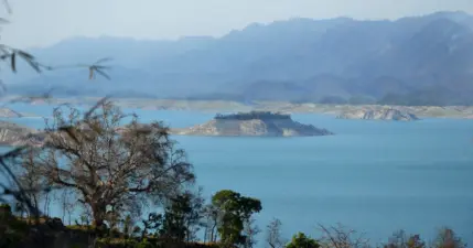 BBMB's Bhakra Dam desilting plan stalls as Himachal objects to tenders ...