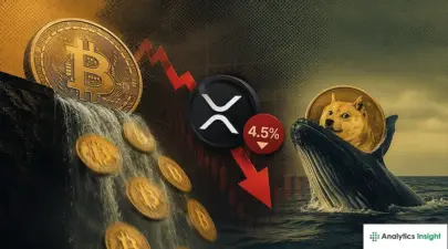 Crypto News Today: Bitcoin Outflows, XRP 4.5% Down, and DOGE Whales ...