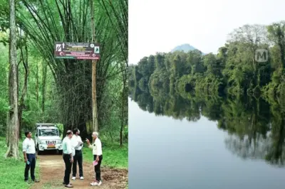 This place has Kerala's cleanest air that matches deep forest ...