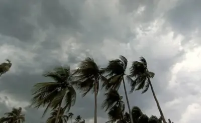 Weather: উত্তরবঙ্গে ঝড়-বৃষ্টির দাপট, দক্ষিণবঙ্গে মিলবে না রেহাই, কেমন ...