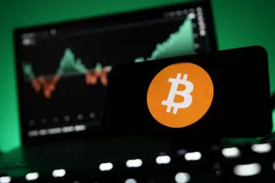 Bitcoin's Decline Fits A 'Mild Bear Market,' Says Strive CEO | Dailyhunt