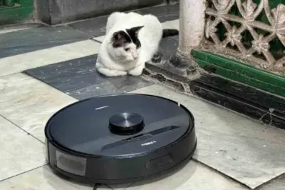 Dust bot-tler | Dailyhunt