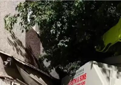 Crane rolls backwards after brake failure, crashes into building in ...
