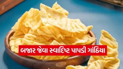 મોંમાં ઓગળી જાય તેવા મુલાયમ પાપડી ગાંઠિયા બનાવવાની સૌથી સરળ રેસીપી ...