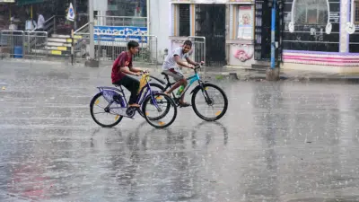 Bengaluru's failure to save the bicycle | Dailyhunt