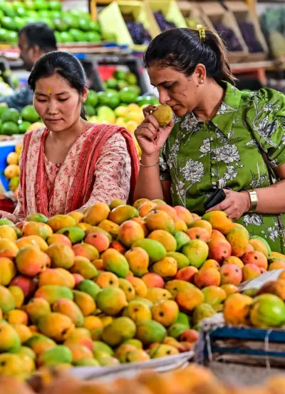 Mango Mela: 5 ದಿನದಲ್ಲಿ 300 ಟನ್‌ ಮಾವು ಮಾರಾಟ, ಗುಣಮಟ್ಟದ ಹಣ್ಣಿಗೆ ಬೇಡಿಕೆ ...