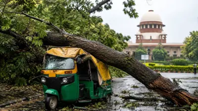 Tree falling on autorickshaw not 'motor accident' under MV Act, but ...