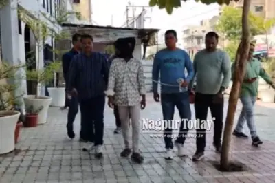 Operation Thunder: MD drugs worth Rs 6.77 lakh seized, one held in ...