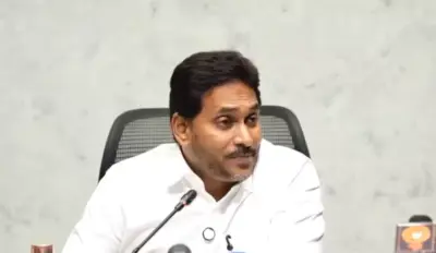 Jagan Accuses TDP-led Govt in Andhra of Deception, Scams, Fraud | Dailyhunt
