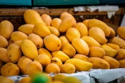 Nepal Joins Japan in Banning Indian Mango Imports Over Pesticide ...