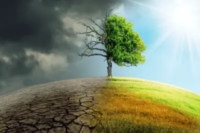 UN climate meeting: India raises concern over declining levels of ...