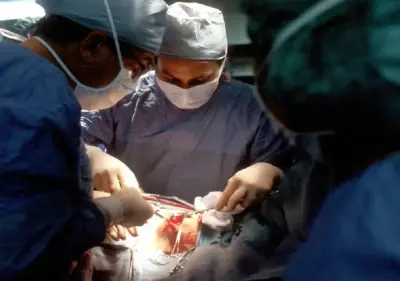 Hyderabad doctors remove brain tumour through eye socket | Dailyhunt