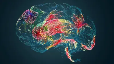 Brain cells acting as 'disappointment meter' may help design new class ...
