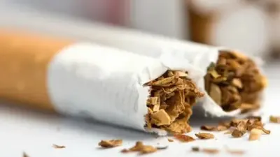 DRI seizes 71 lakh smuggled cigarettes worth Rs 14 crore in North East ...