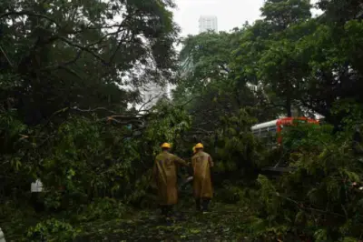Storm hits Calcutta, leaves trail of fallen trees, traffic snarls and ...