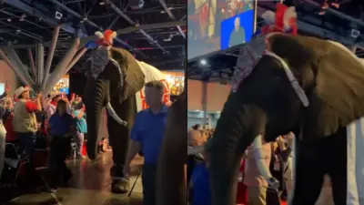 Texas GOP Convention Features Elephant, Creates Viral Moment | Dailyhunt