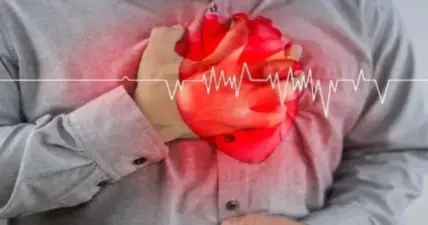 Heart Surgeon Explains Difference Between LDL-C And ApoB In Heart ...