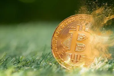 Bitcoin's Next Buyer Is Not Human Says Animoca's Yat Siu: How AI Will ...