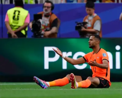 Why Roberto De Zerbi sees Liverpool's Gakpo as Tottenham's game ...