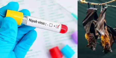 Nipah contacts discharged as surveillance continues in Kozhikode ...