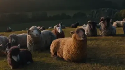 The Sheep Detectives OTT Release: Where and when to watch Hugh Jackman ...