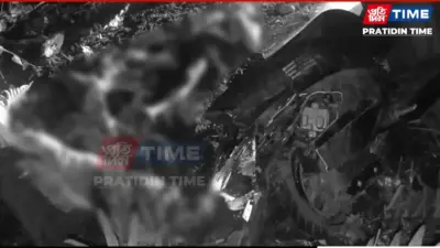Guwahati: Father, Son Killed as Dead Tree Falls on Scooter in Mirza ...